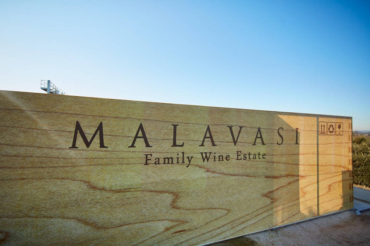 Azienda vitivinicola Malavasi / Camilla / DOC Lugana | Moeyaert