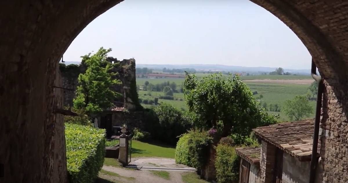 Azienda vitivinicola Malavasi / Camilla / DOC Lugana | Moeyaert