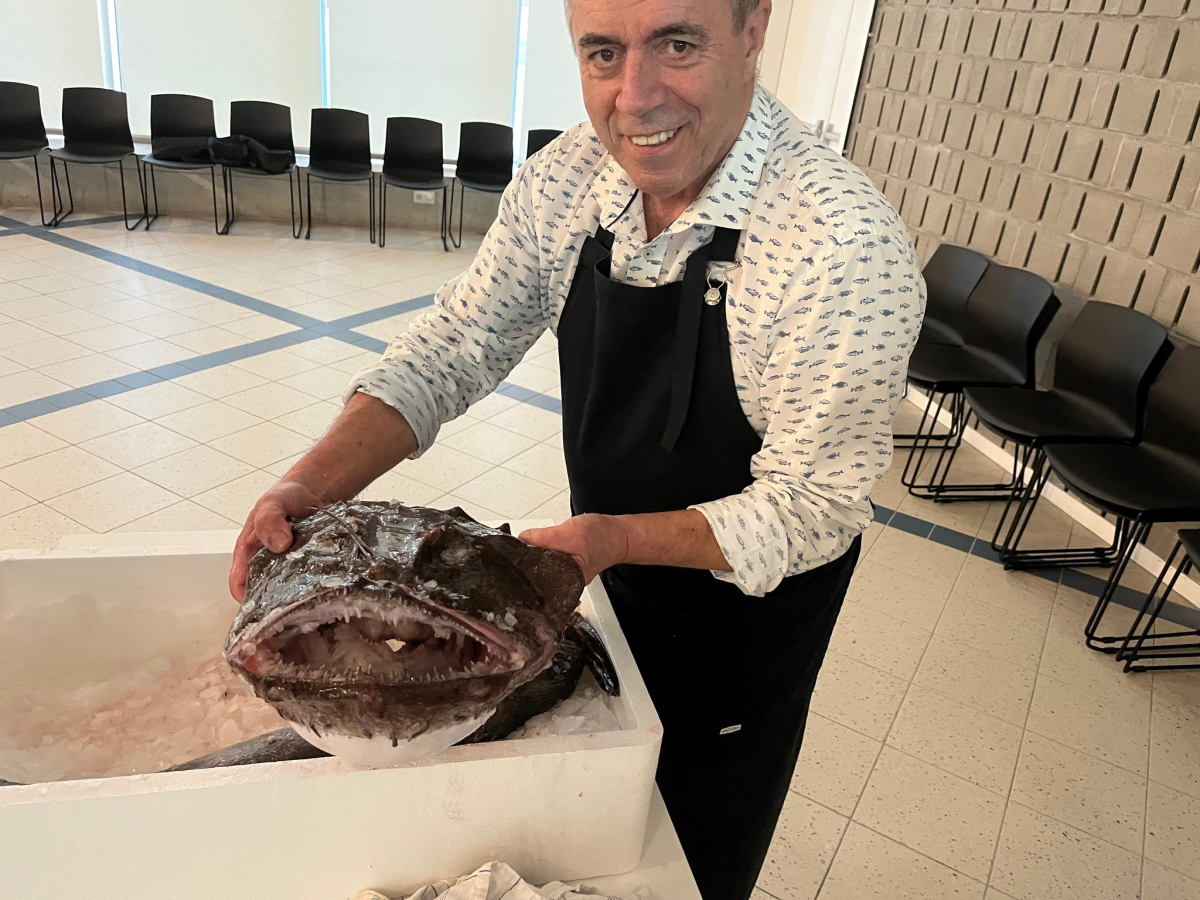 zeeduivel en zeewolf stelen de show in Puurs | Moeyaert