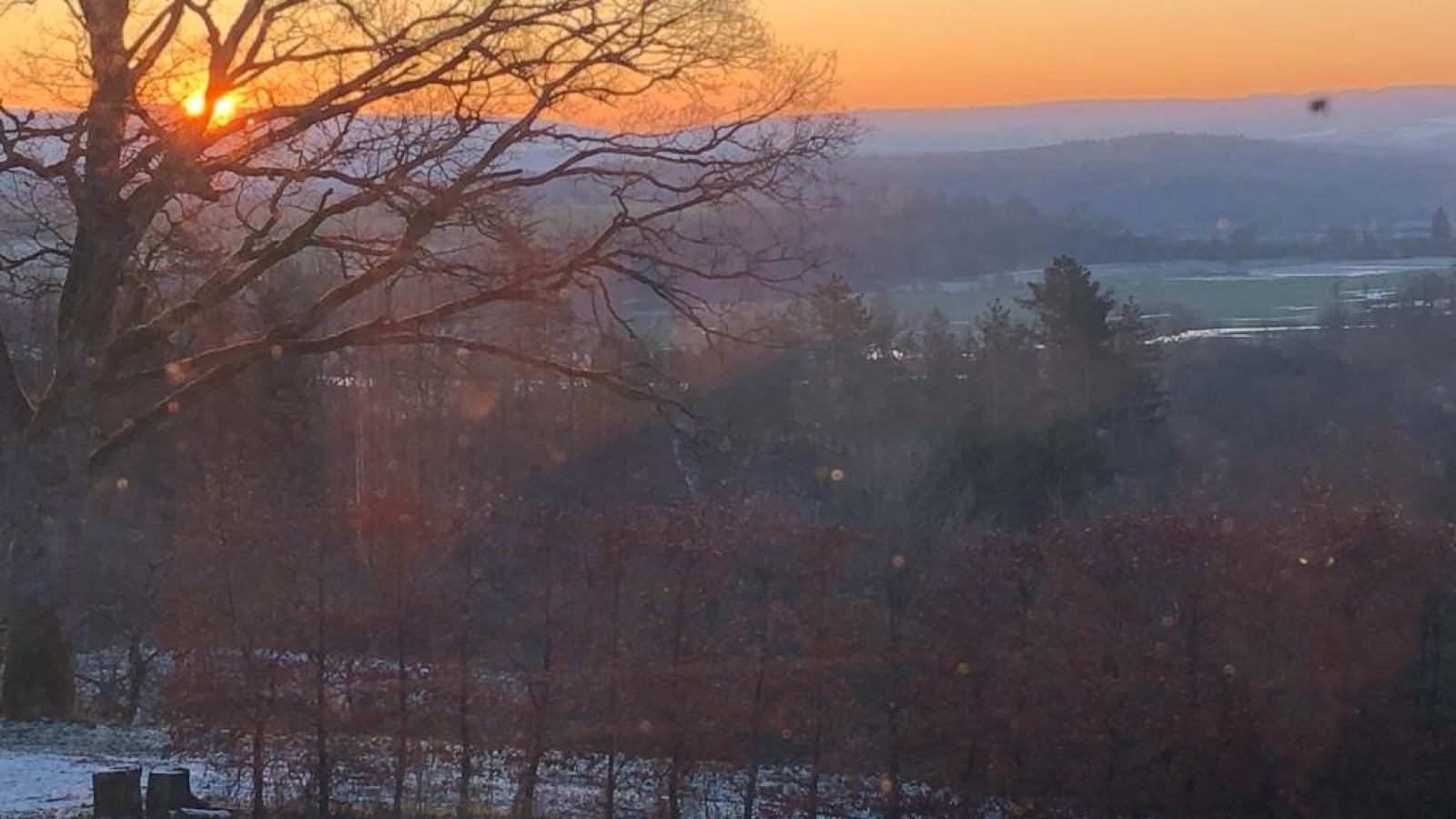 Sneeuw, gamba en Jenga: topper in d'Ardennen | Moeyaert