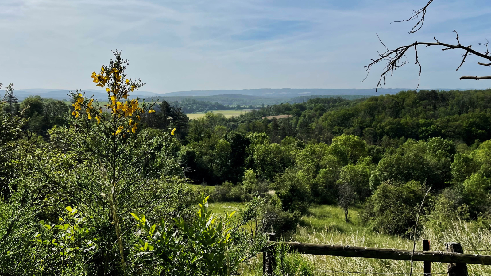 Heerlijke dag Ardennen | Moeyaert