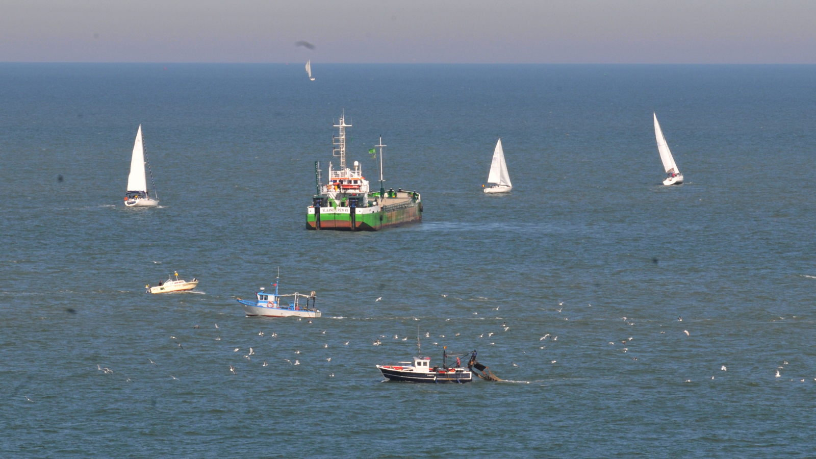 Puur genieten van deze zondag | Moeyaert