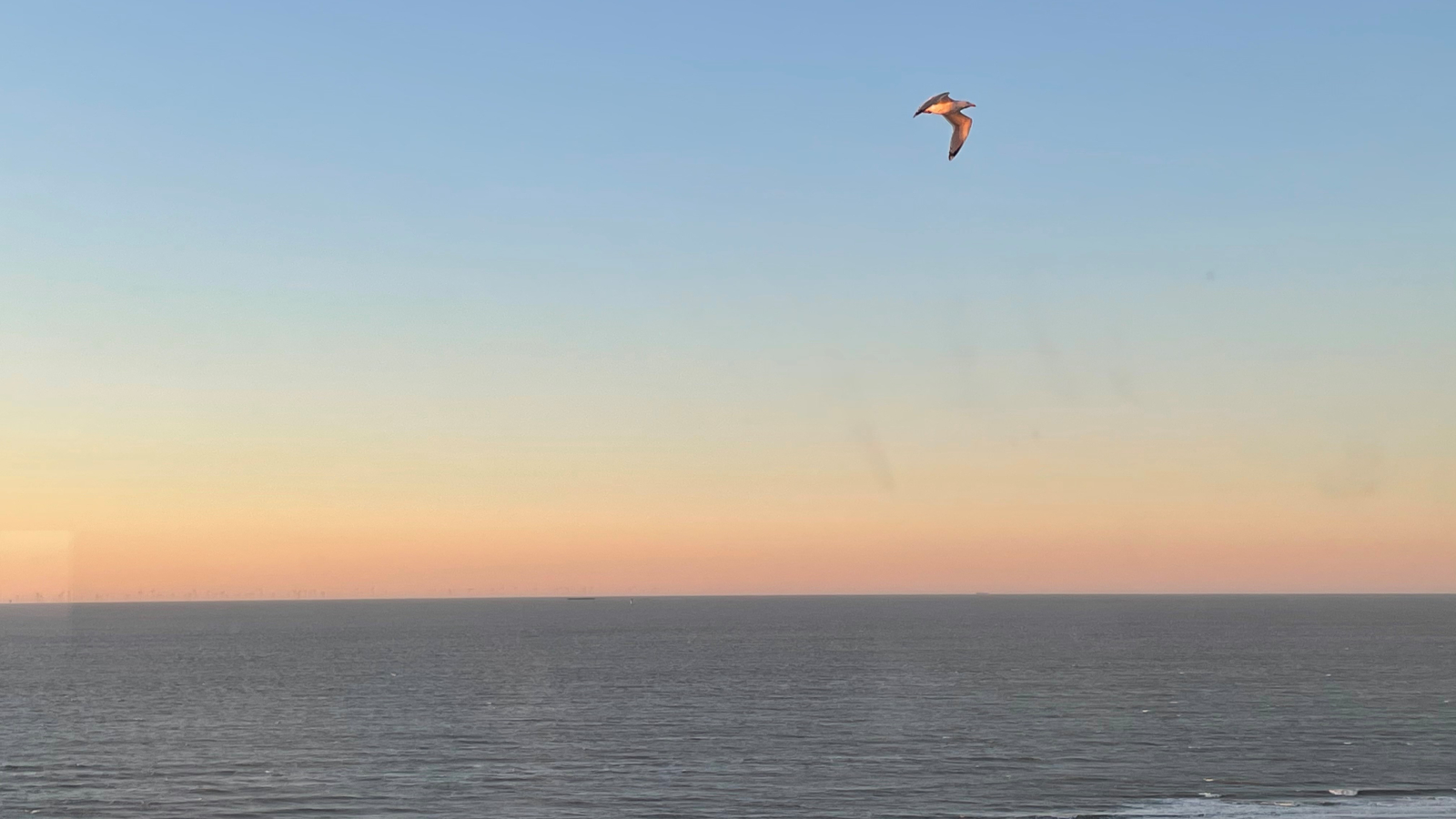Een leuke zondag ! | Moeyaert